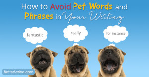 pet-words-and-phrases - BetterScribe